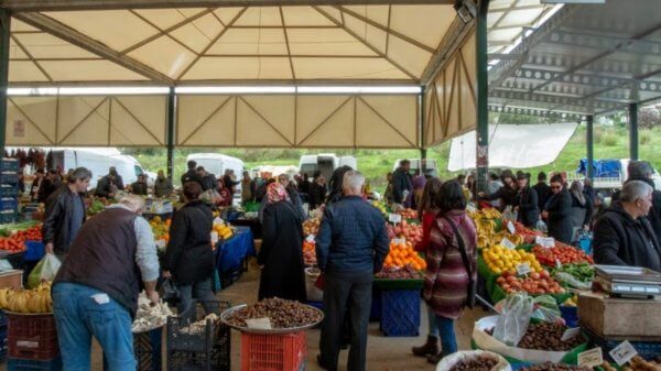 Bodrum Pazarları - Bodrumluculuk